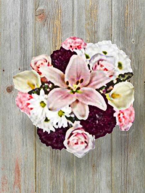 Wholesale Flowers from Colombia Online | FlowerFarm