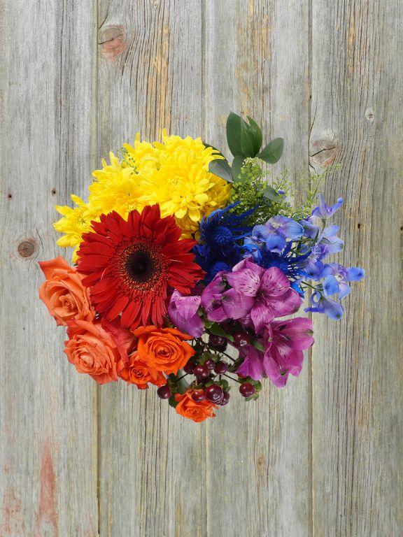 Wholesale Diversity Bloom - 15 Stem Delivered Online | FlowerFarm