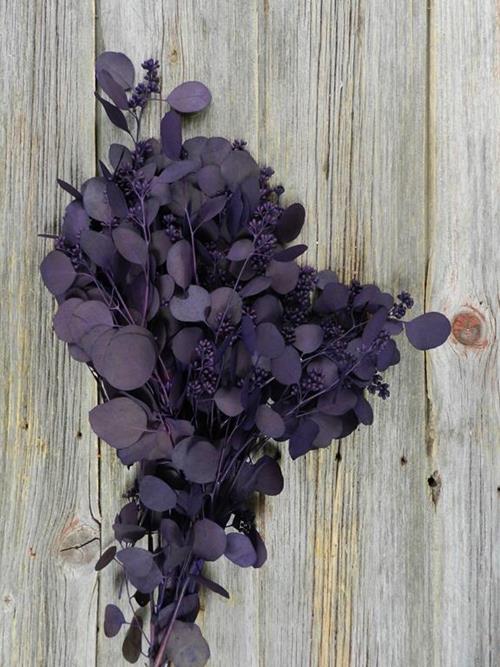 Wholesale Purple Tinted Seeded Eucalyptus Delivered Online | FlowerFarm