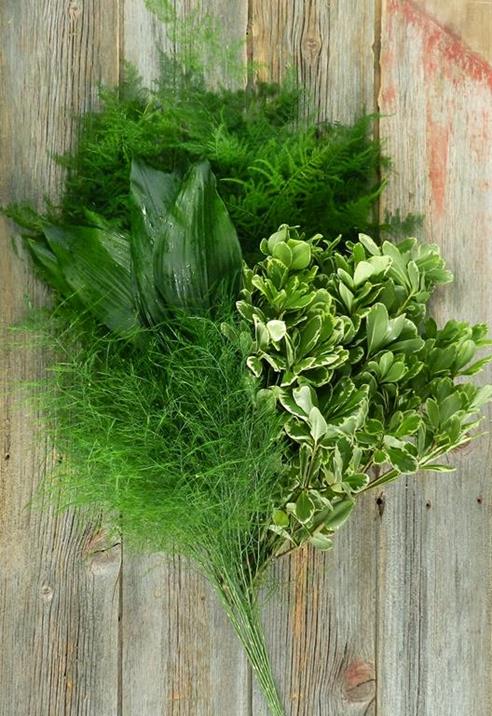Wholesale Essentials Greens Combo Box Delivered Online | FlowerFarm