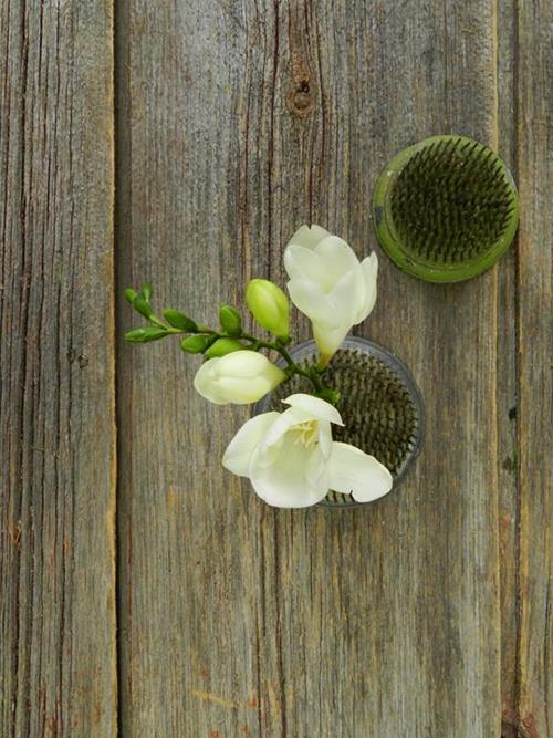 Wholesale 125 Freedom & 125 White Roses Combo Box Delivered Online ...