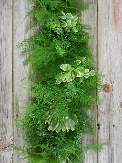 Wholesale Garlands in Bulk | FlowerFarm - Fresh Cut Garlands