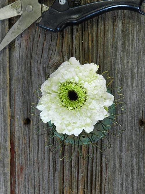 Wholesale Terra Calysto White Gerondo Gerbera Daisy Delivered Online ...