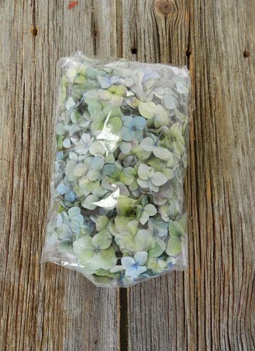 Wholesale 250 Grams Bagged Hulk Bi-Color Blue/Green Hydrangea Petals ...