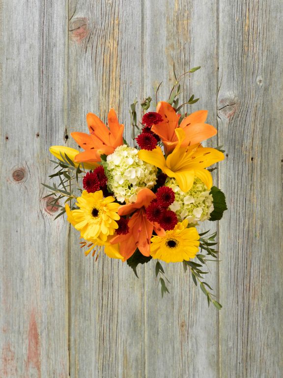 Wholesale Katia- 12 Stem Delivered Online | FlowerFarm