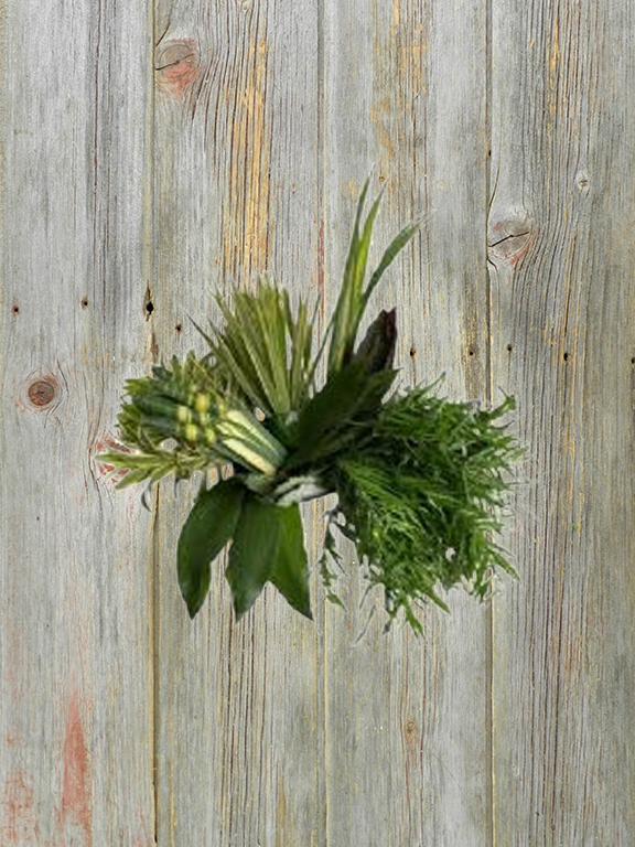 Wholesale Magic Botanical Assorted Tropical Greens Combo Box Delivered ...