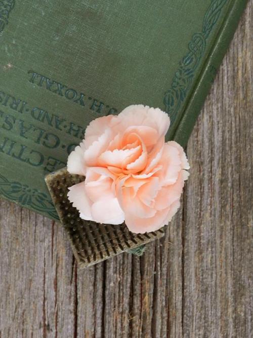 Wholesale Hamada Peach Mini Carnations Delivered Online | FlowerFarm