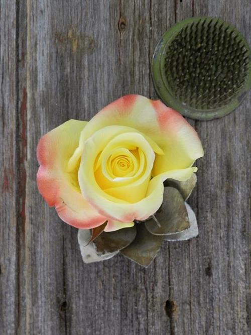 Wholesale Florida Yellow Roses Delivered Online | FlowerFarm