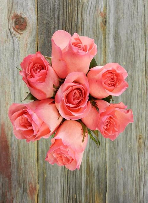 Wholesale Metallic Hot Pink Rose / Silver Paint Bouquet Delivered ...