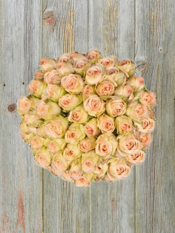 Wholesale Spray Roses Delivered | FlowerFarm