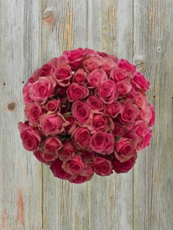 Wholesale Deep Pink Jewel Pink Spray Rose Delivered Online | FlowerFarm