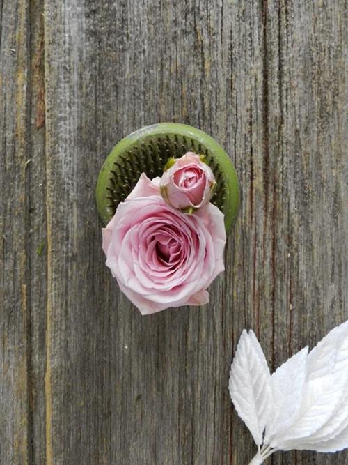 Wholesale Odilia Pink Spray Rose Delivered Online | FlowerFarm