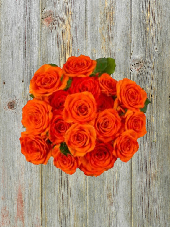 Wholesale Orange Jewel Orange Spray Rose Delivered Online | FlowerFarm