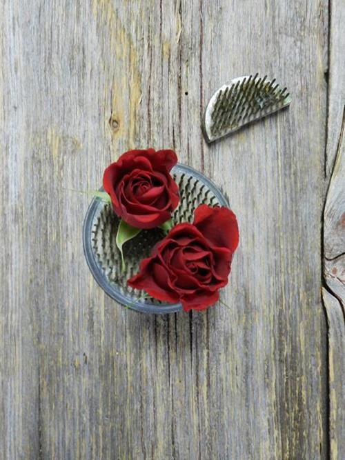 Wholesale Scarlette Mimi Red Spray Roses Delivered Online | FlowerFarm