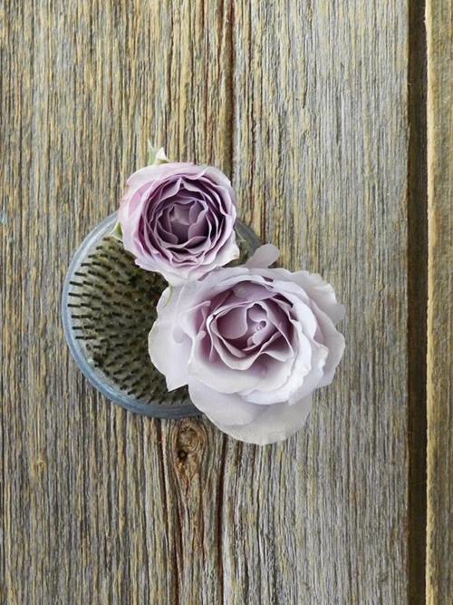 Wholesale Silver Mikado Lt Lavender Spray Roses Delivered Online ...