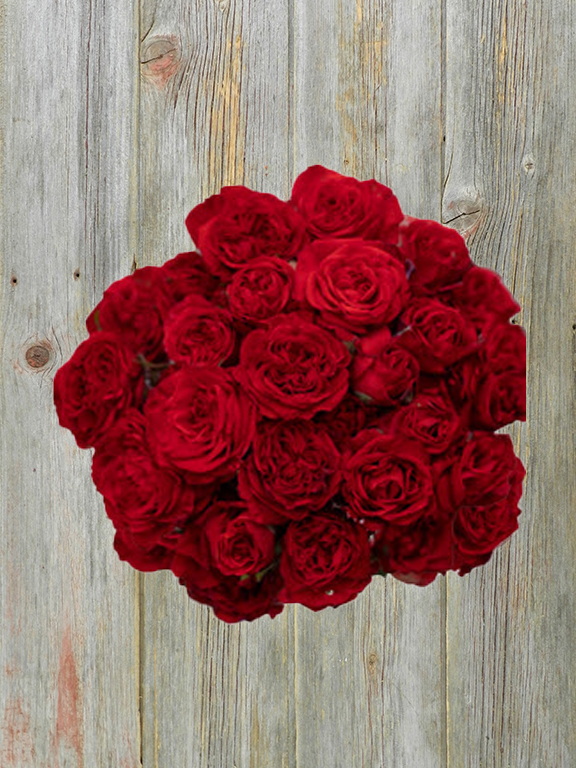 Wholesale Thats Red Jewel Red Spary Rose Delivered Online | FlowerFarm