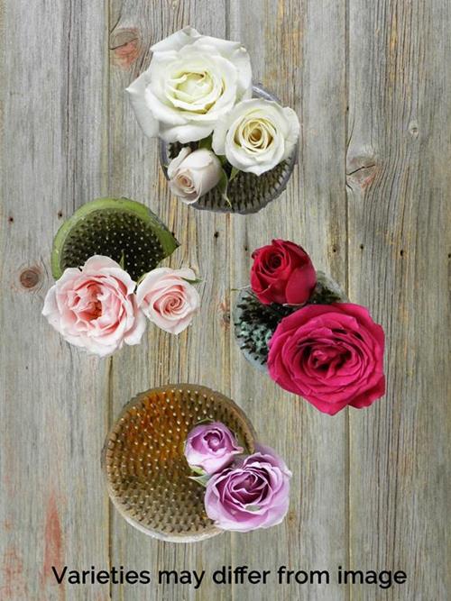 Wholesale Spray Rose Wedding Pack Assorted Combo Box Delivered Online ...