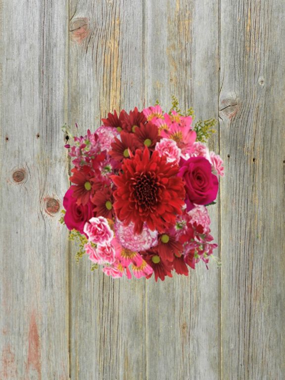 Wholesale Sweet Red - 15 Stem Delivered Online | FlowerFarm