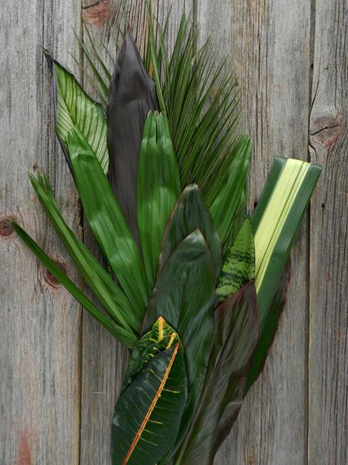 Wholesale Tropical Foliage Bouquet Assorted Delivered Online | FlowerFarm