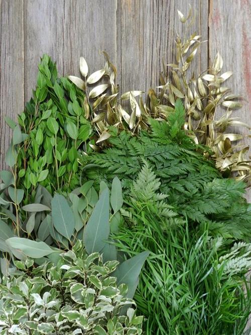 Wholesale Victoria`S Favorite Greens Combo Box Delivered Online ...